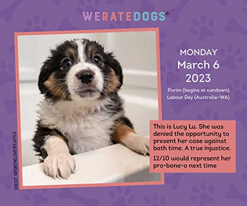 WeRateDogs 2023 Day-to-Day Calendar
