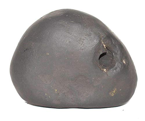 Rudrakshguru Rama Shaligram - Gandaki River Nepal