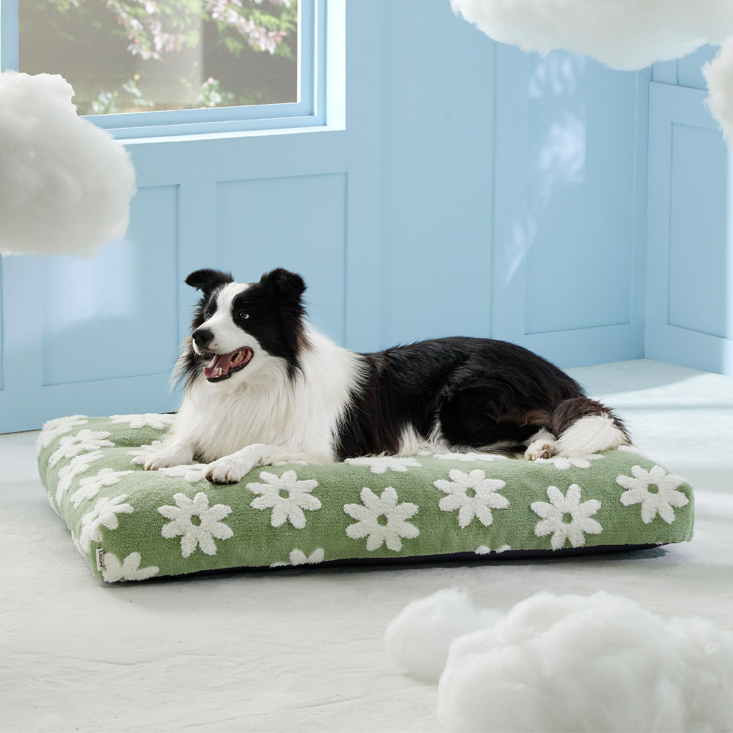 Lesure Large Dog Beds-Thick Shredded Chopped Foam Pet Bed, Dog Bed Indoor with Removable Cover, Cute Modern Fuzzy Plush & Anti Slip Bottom(36'x27', Green)