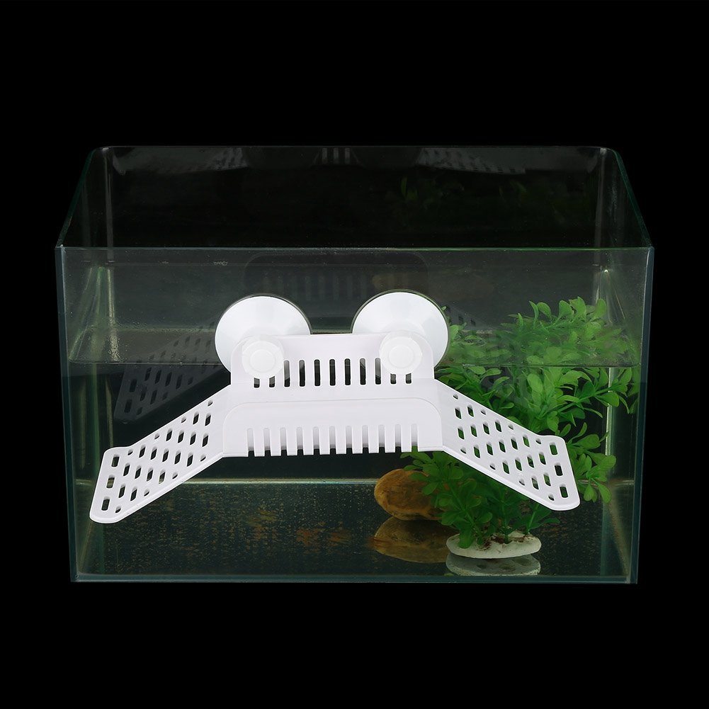 Turtle Basking Climbing Basking Terrace Aquarium Fish Reptile Tortoise Floating Dock Pet Supplies White