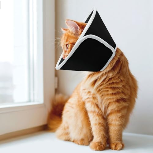 Life is Golden (Golden Retriever) Comfortable Dog Cone Cat Collar Adjustable Prevent from Licking Wounds XL