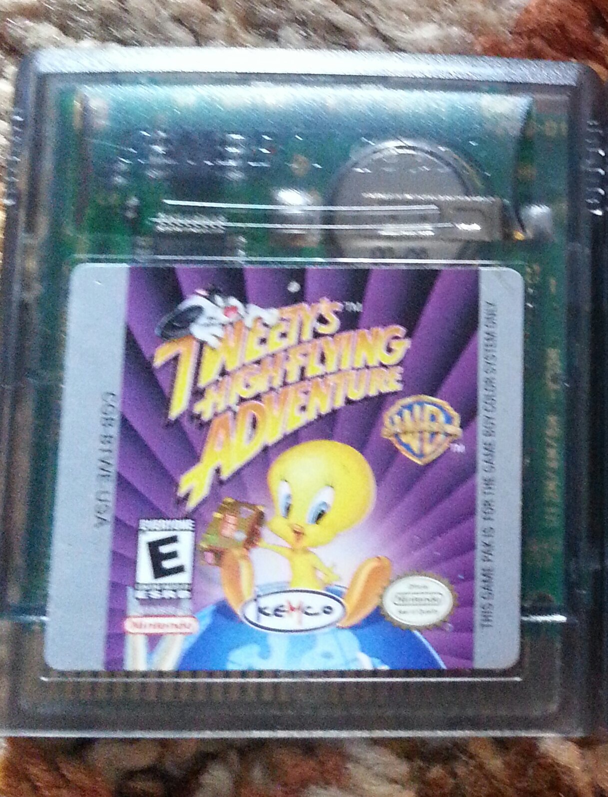 Tweety's High-Flying Adventure