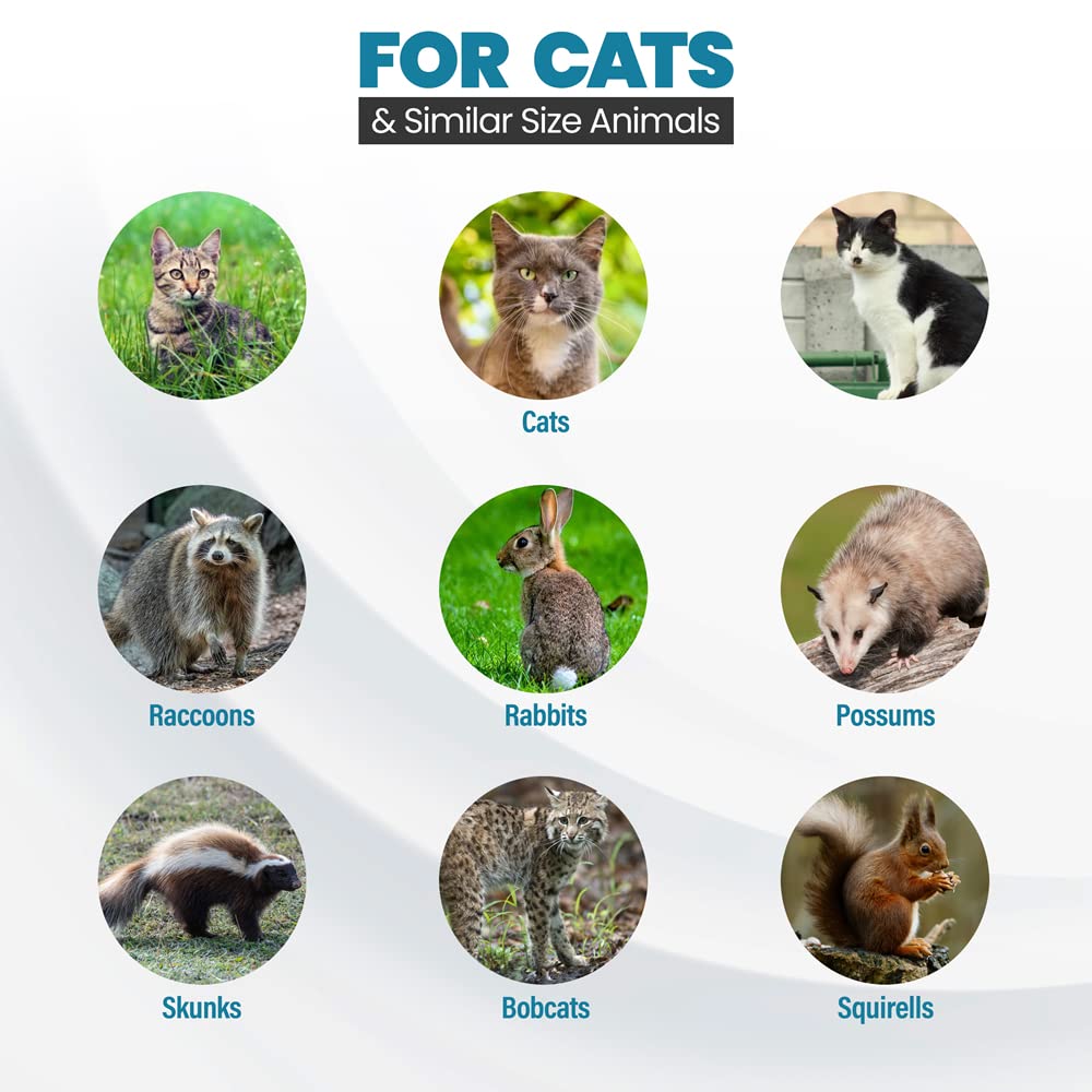 eXuby Large Cat Trap for Stray/Feral Cats & Other Animals - 32"x12"x13β - Catch Them Live & Relocate - Extra Large 8.5" Trigger Platform - Also for; Racoon, Rabbit, Possum, Skunk, Bobcat, Squirrel