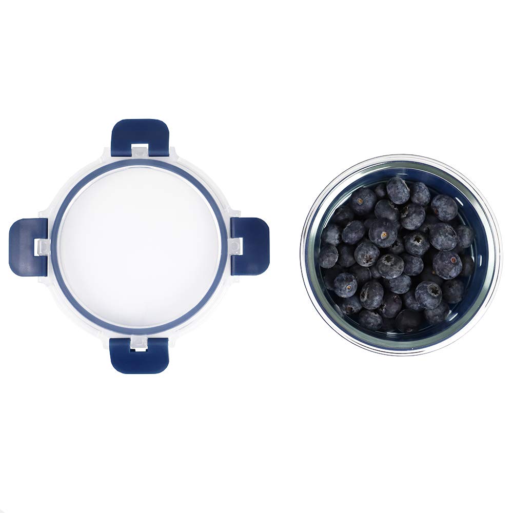 Home Basics B08NK8YP7N Food Storage Container, 13 Ounce, Indigo