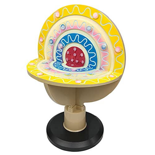 KH66ZKY 3D Atomic Structure Model - Atom Anatomical Model - for Teaching Educational Medical Science Classroom Study Display Teaching Tool
