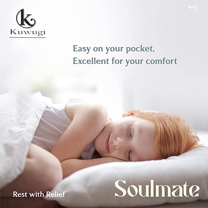 Velfont 3Pcs Duvet Cover Set 100% Egyptian Cotton 800 Thread Count Duvet Cotton with Zipper Closure & Corner Ties, Super King Size (116" x 98") Inch, Plum Solid