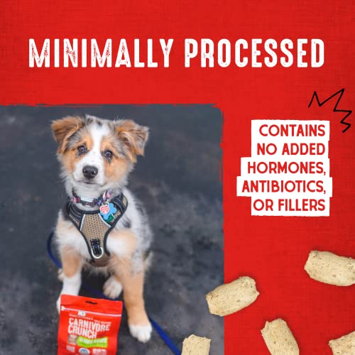 Stella & Chewy's Freeze-Dried Raw Carnivore Crunch Cage-Free Turkey Recipe Dog Treats – 3.25 oz. Bag