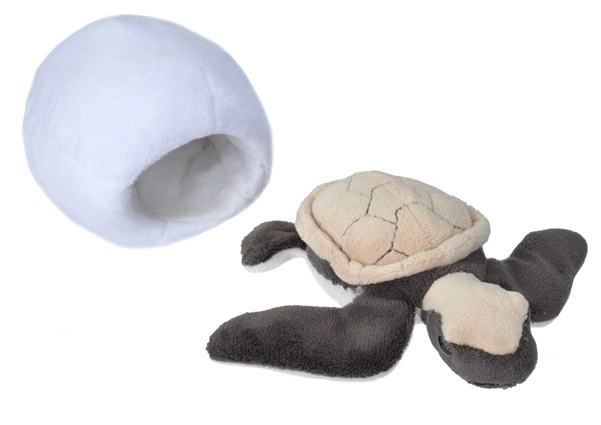 Wild Republic Hawksbill Turtle Plush, Stuffed Animal, Plush Toy, Kids Gifts, Hatchlings 6 Inches