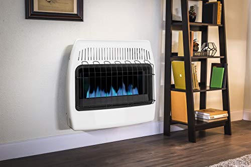 Dyna-Glo 30,000 BTU Liquid Propane Blue Flame Vent Free Wall Heater, White