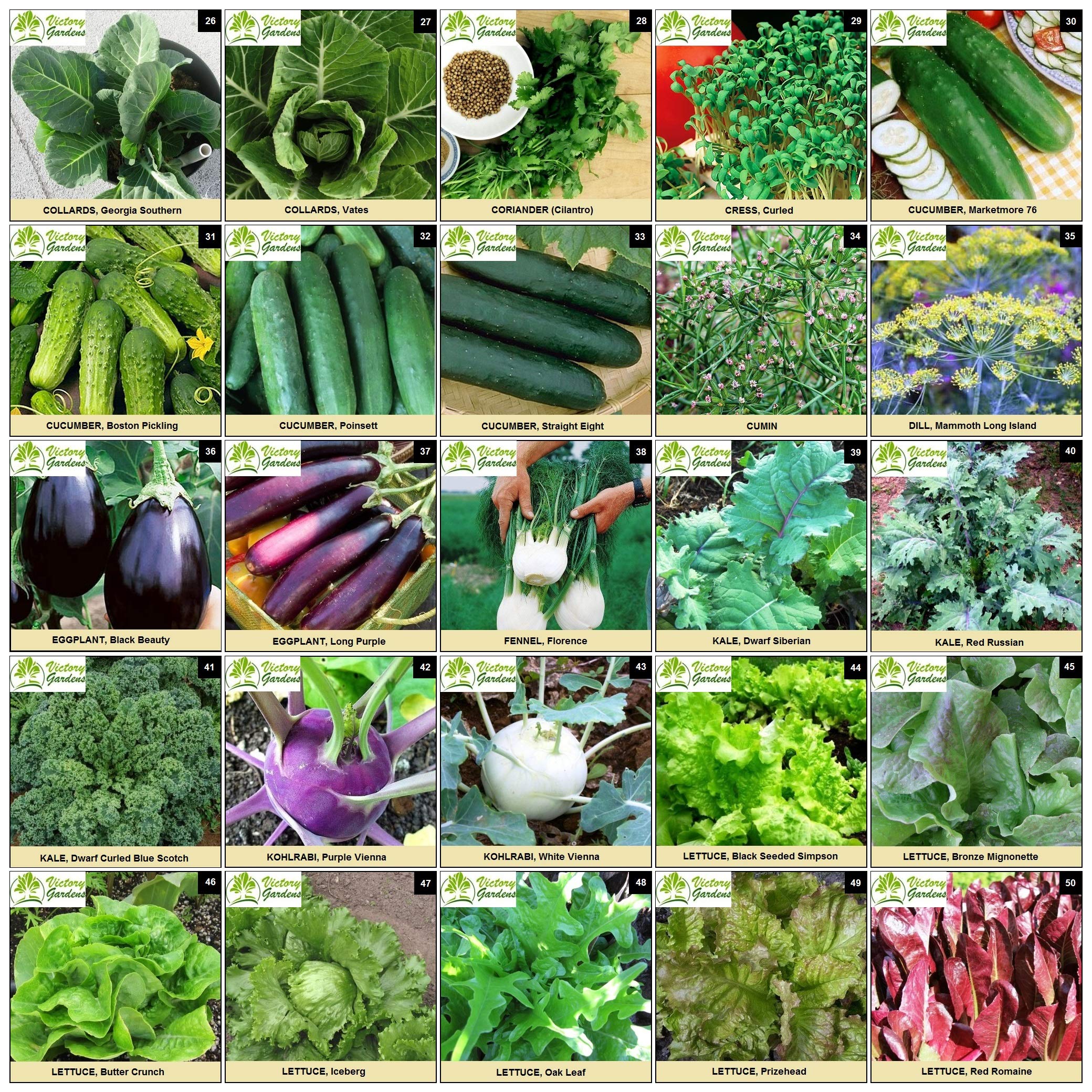 Garden Seeds Vegetable Variety Pack for Planting - Grow 125 Varieties of Heirloom Non GMO Quick Sprouting Veggies - Premium Seed Vault by Victory Gardens