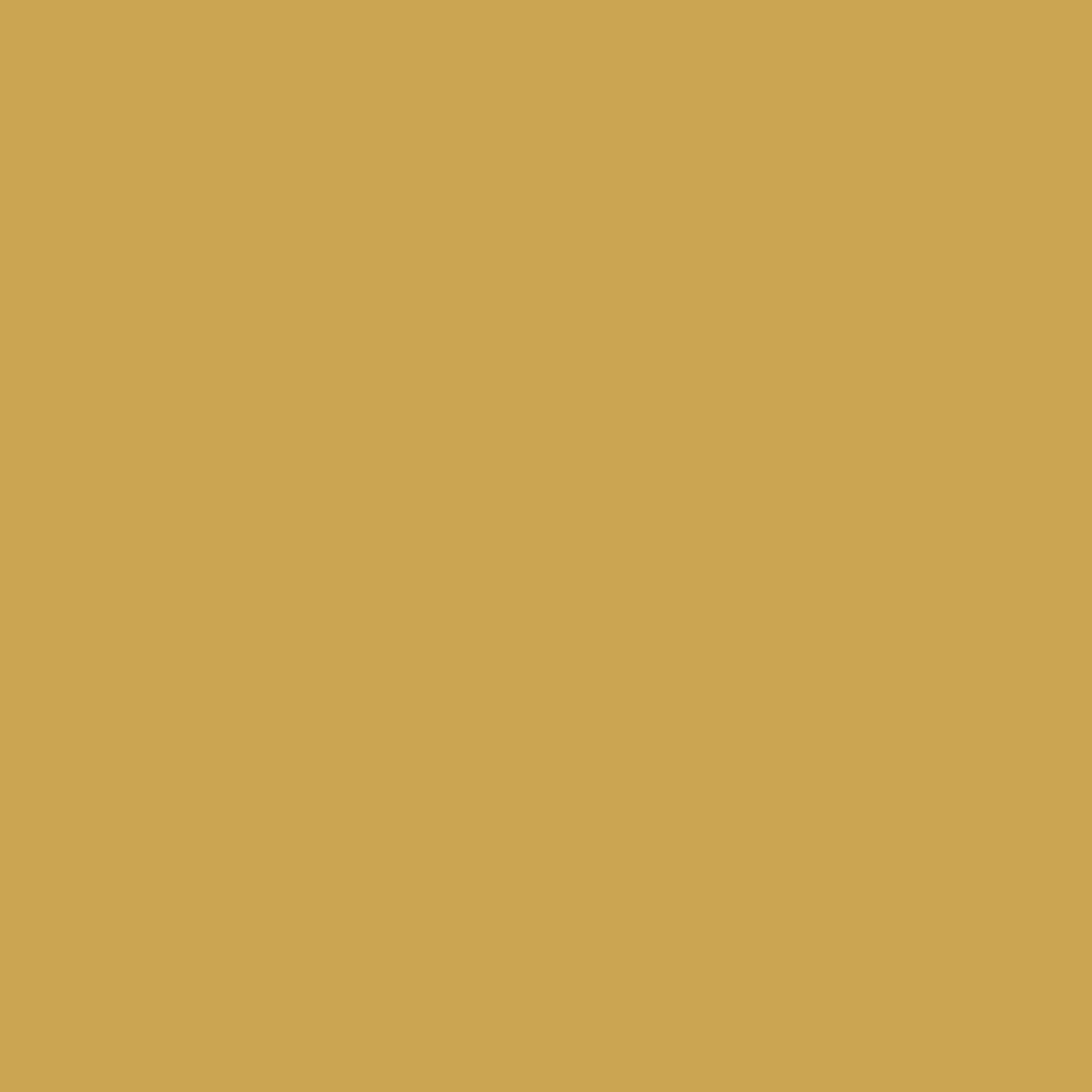 Vallejo Acrylic Paint, US Interior Yellow