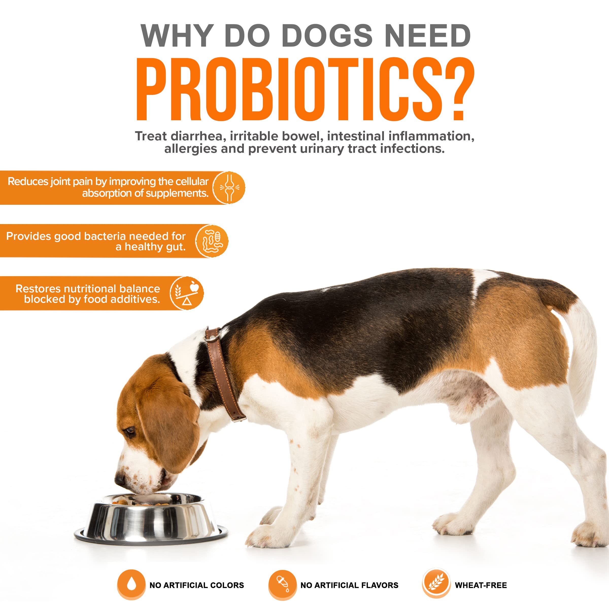 Turkey Tail Mushroom for Dogs Immune Support Bundled with Probiotic Nutrient Enhancer