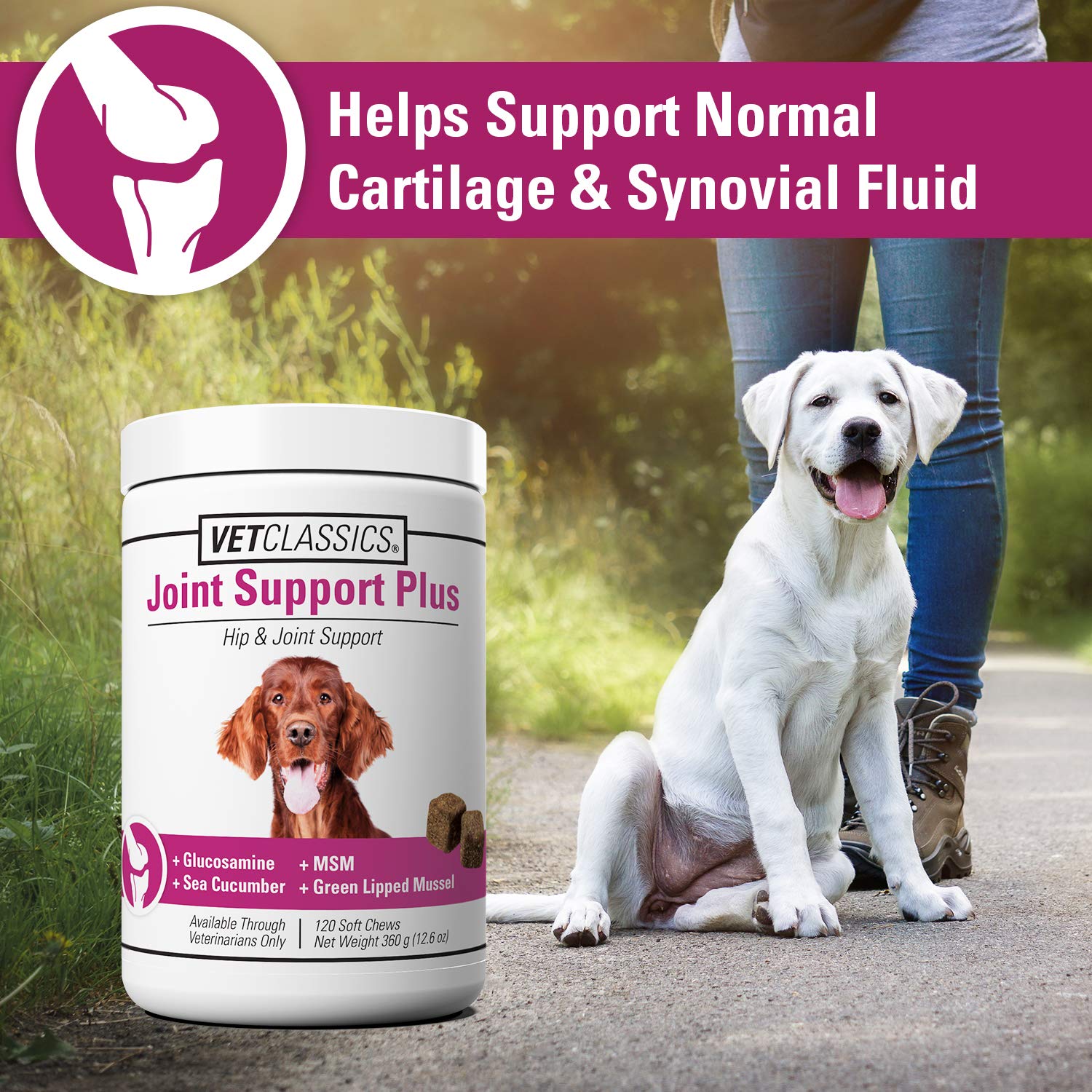 Vet Classics Joint Support Plus Dog Supplement - Hip Health Supplement for Dogs β Alleviates Aches and Discomfort - For Flexibility, Healthy Joint Function in Canines β Antioxidants β 120 Soft Chews