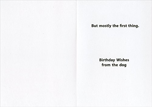 Two Things Recycled Paper Greetings Funny Birthday Card from The Dog