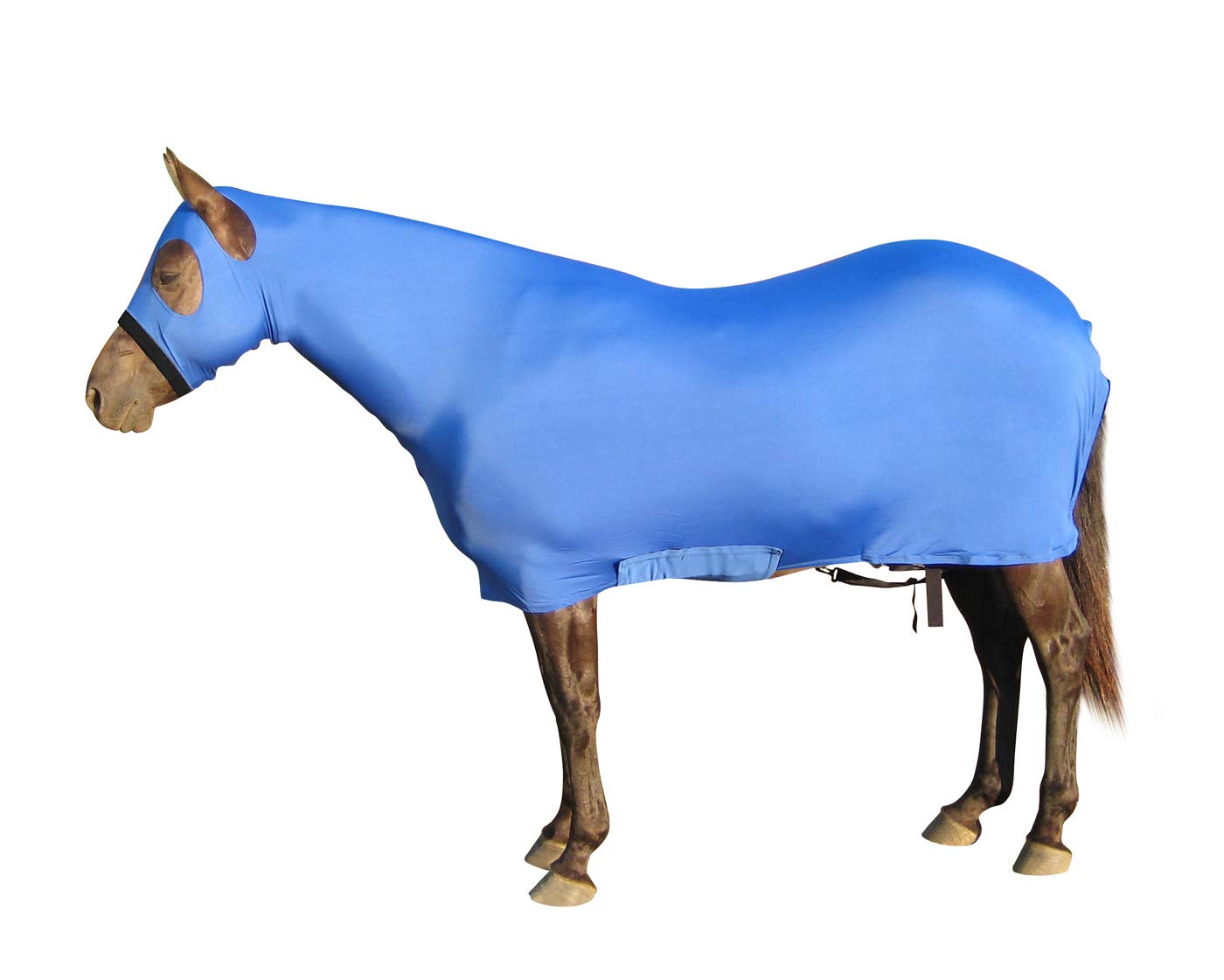 Paris Tack Lycra Full Body Horse Sheets with Neck Cover
