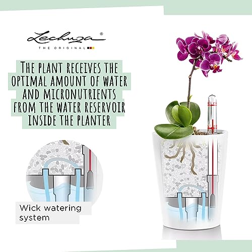 Lechuza 14900 Deltini Self-Watering Planter for Indoor and Outdoor Use, 6" x 6" x 7", White