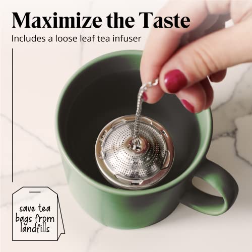 Willow & Everett Whistling Tea Kettle for Stove Top - 2.75 Quart Tea Pots for Stove Top w/Stainless Steel, Mirror Finish & Strainer
