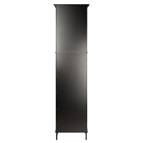 Winsome Wood Alps Tall Cabinet with Glass Door and Drawer