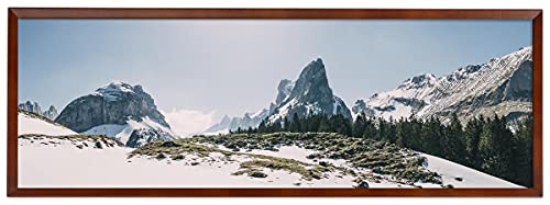 Displays2go 40" x 13.5" Extra-Wide Format Picture Frame, Wood Molding - Dark Brown Finish (PNFA40135W)
