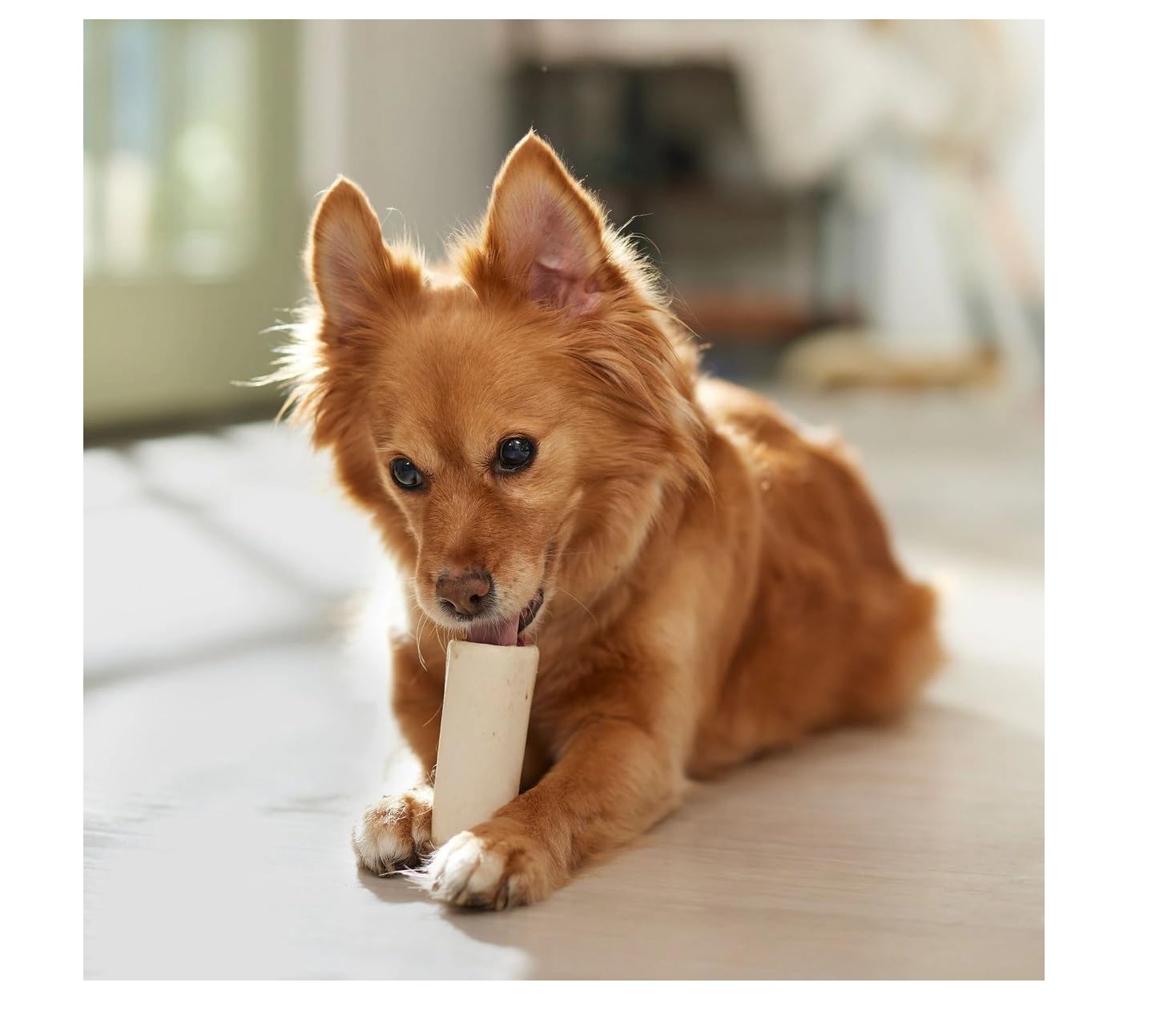 MPP Stuffed Peanut Butter Nutritious Refillable Shin Bones 4" Hard Dog Dental Chews (10 Bones)