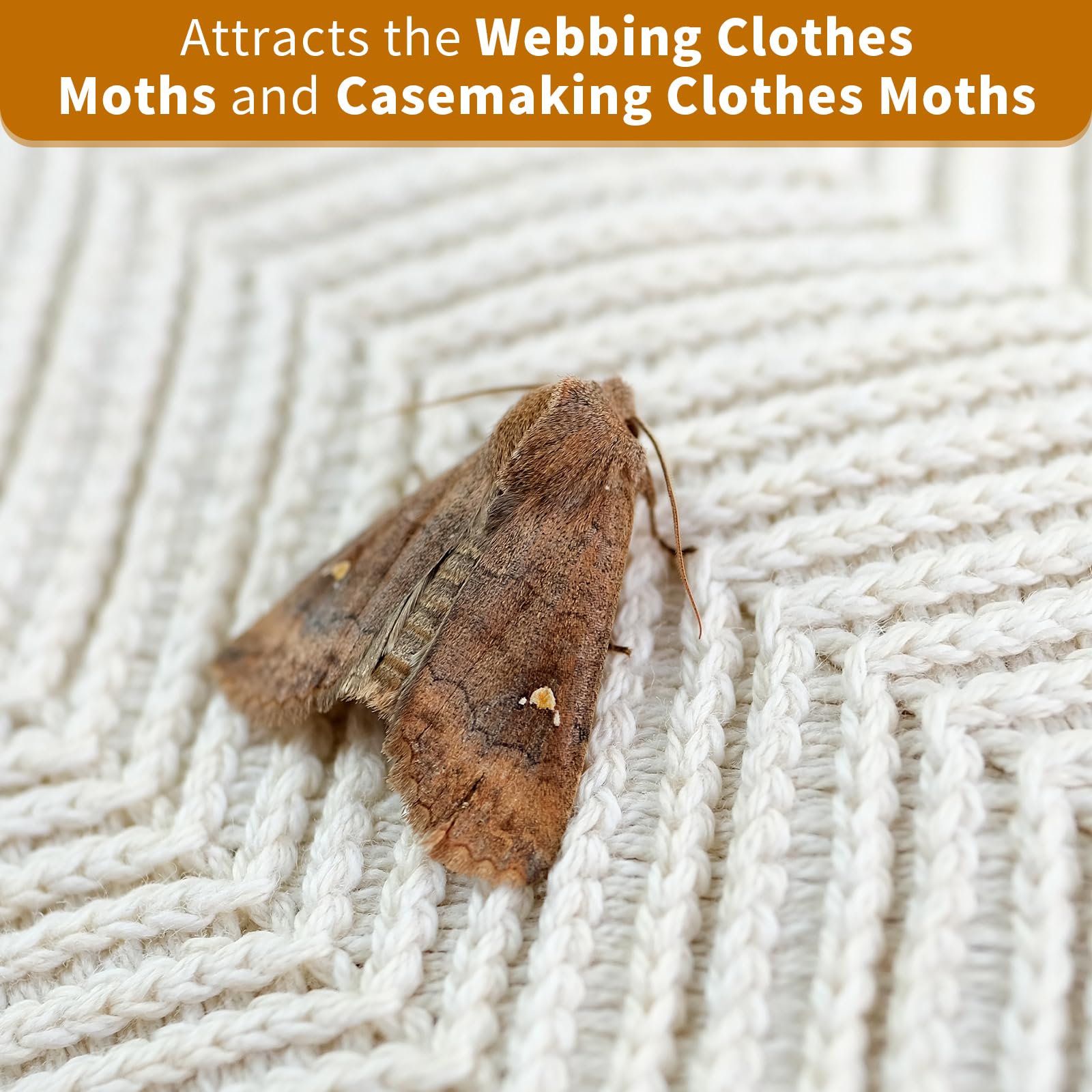 Meldoz Clothes Moth Traps with Powerful Pheromones, Non-Toxic & Odor-Free Sticky Moth Traps for Clothes & Closets, Refillable 6-Pack