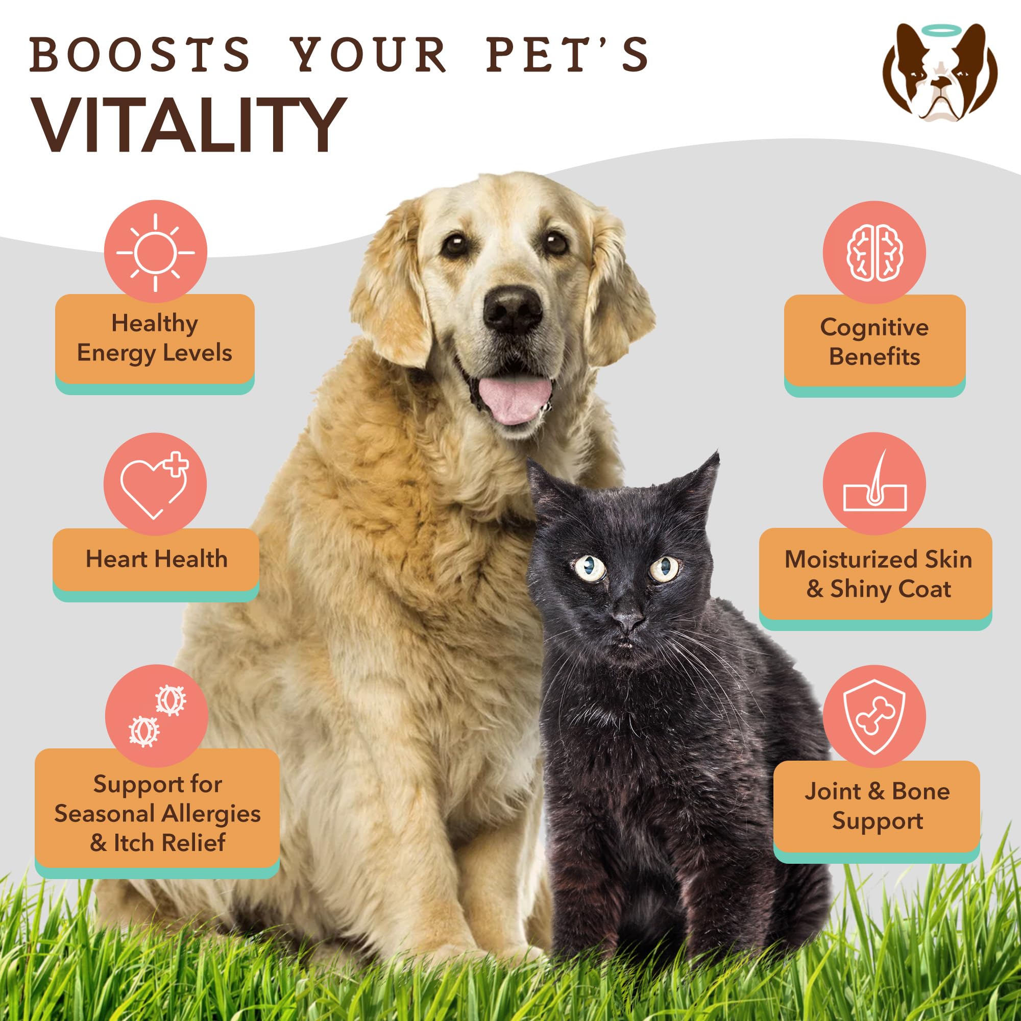 Natural Dog Company Multivitamin Chews & Coldwater Atlantic Salmon Oil Bundle – Advanced Immune Support, Joint Care, and Cognitive Health for Senior Dogs – Perfect Daily Supplement, 90 Chews + 16oz Oi