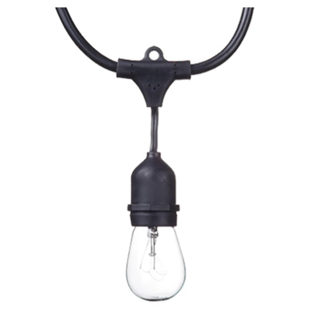 GLOBE ELECTRIC COMPANY INC 67855 Dublin 24LT S14 LED String Light, Clear