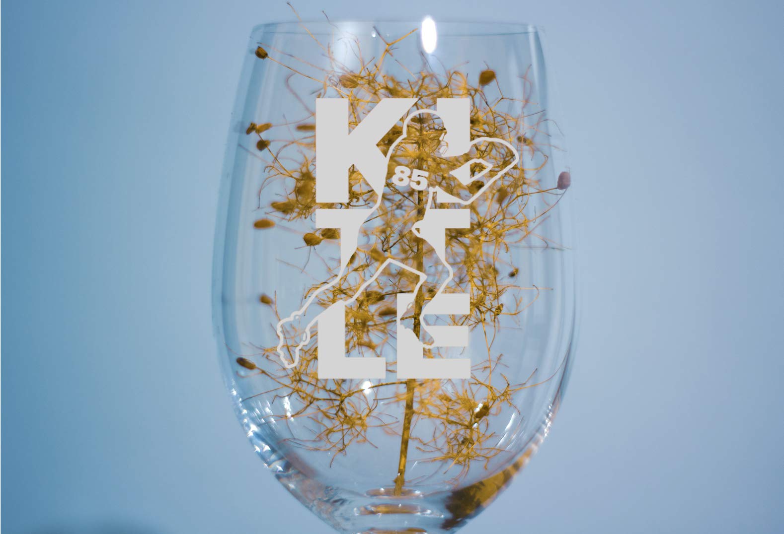 Hat Shark Football Sports Athletic Player - Laser Engraved Stemless Wine Glasses (Kittle #85)