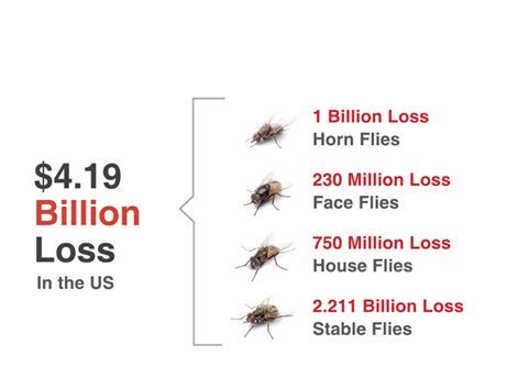 JustiFLY Champion USA Feedthrough Cattle Fly Control | Non-Toxic Larvicide. Controls All Four Fly Species That Affect Cattle. Over 50 Million Head Treated (3 Pack)