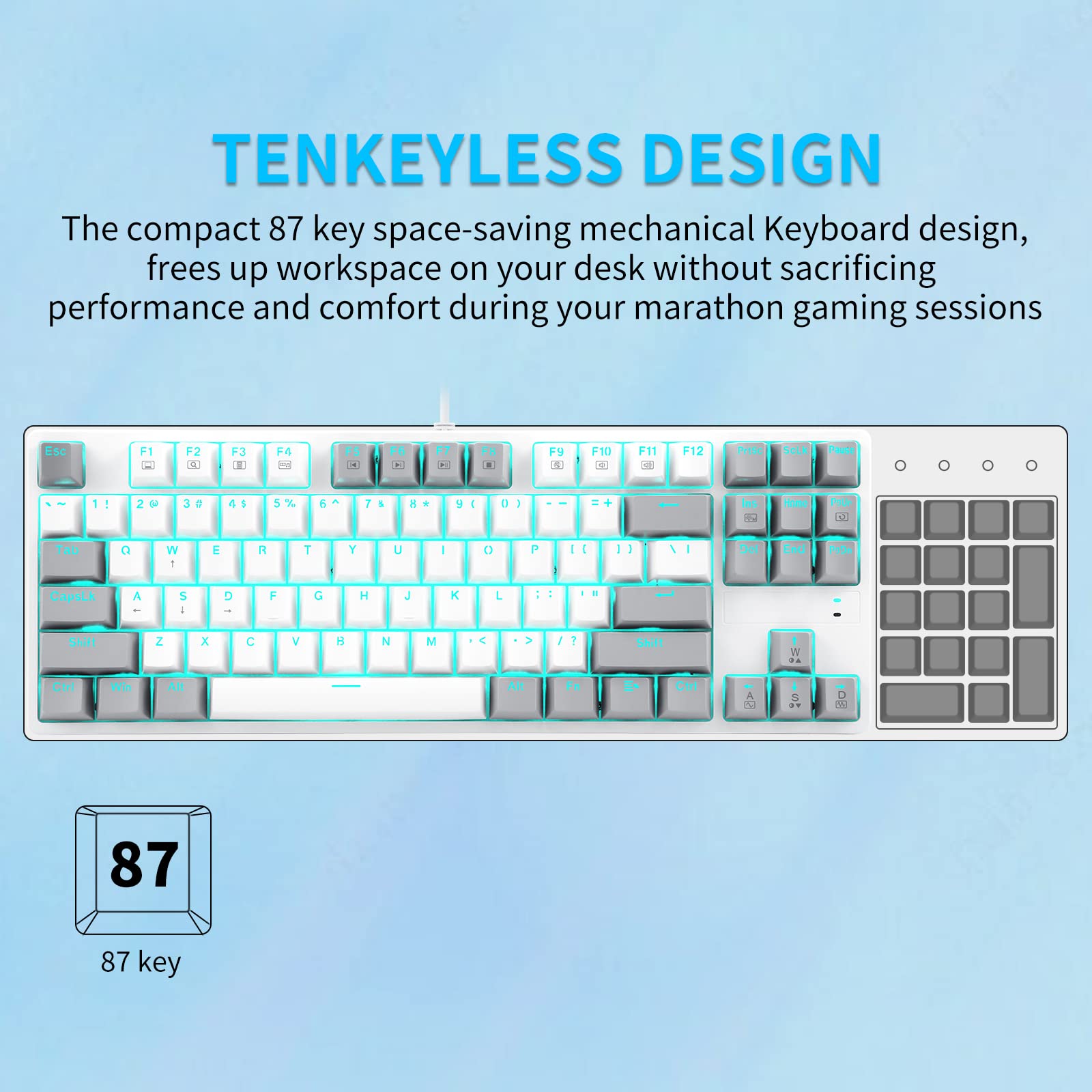 HUO JI E-YOOSO Z-87 Mechanical Gaming Keyboard 87 Key LED Backlit Wired with Anti-Dust Proof Switches Tenkeyness for Windows PC (Red Switches,White and Grey)