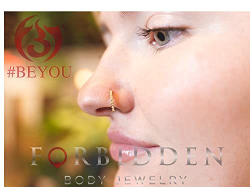 Forbidden Body Jewelry 20g 8mm Platinum Plated Brass Bendable Nose Ring and Cartilage Hoop Lined with CZ Gems