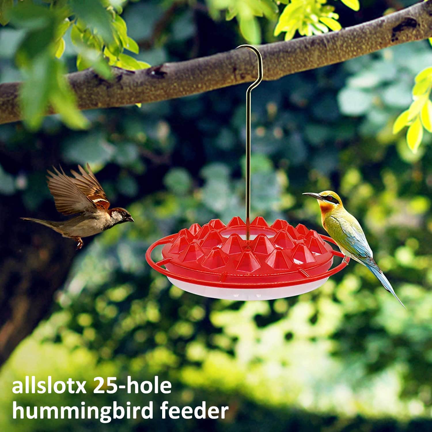 Hummingbird Feeders for Outdoors Hanging - 10 oz, 25 Feeding Ports, Easy to Install, Refill & Clean, Leak-Proof, Plastic Saucer Hummingbird Feeders with Cleaning Brushes