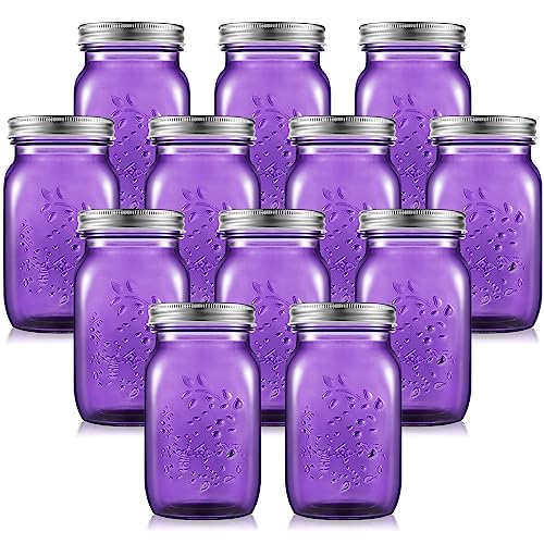 Tessco 12 Pieces 16 oz Colored Mason Jars with Lids Glass Regular Mouth Pint Canning Containers Kitchen Canisters for Food Storage, DIY Crafts, NOT Allowed Dishwasher (Purple)