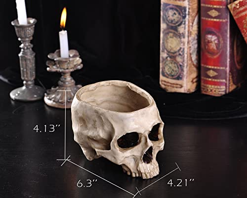 IBWell Modern 6 inch Large Funny Resin Skull Shaped Head Design Flower Pot Planter Container, Decoration Flowerpot Props Home Office Desk Decor