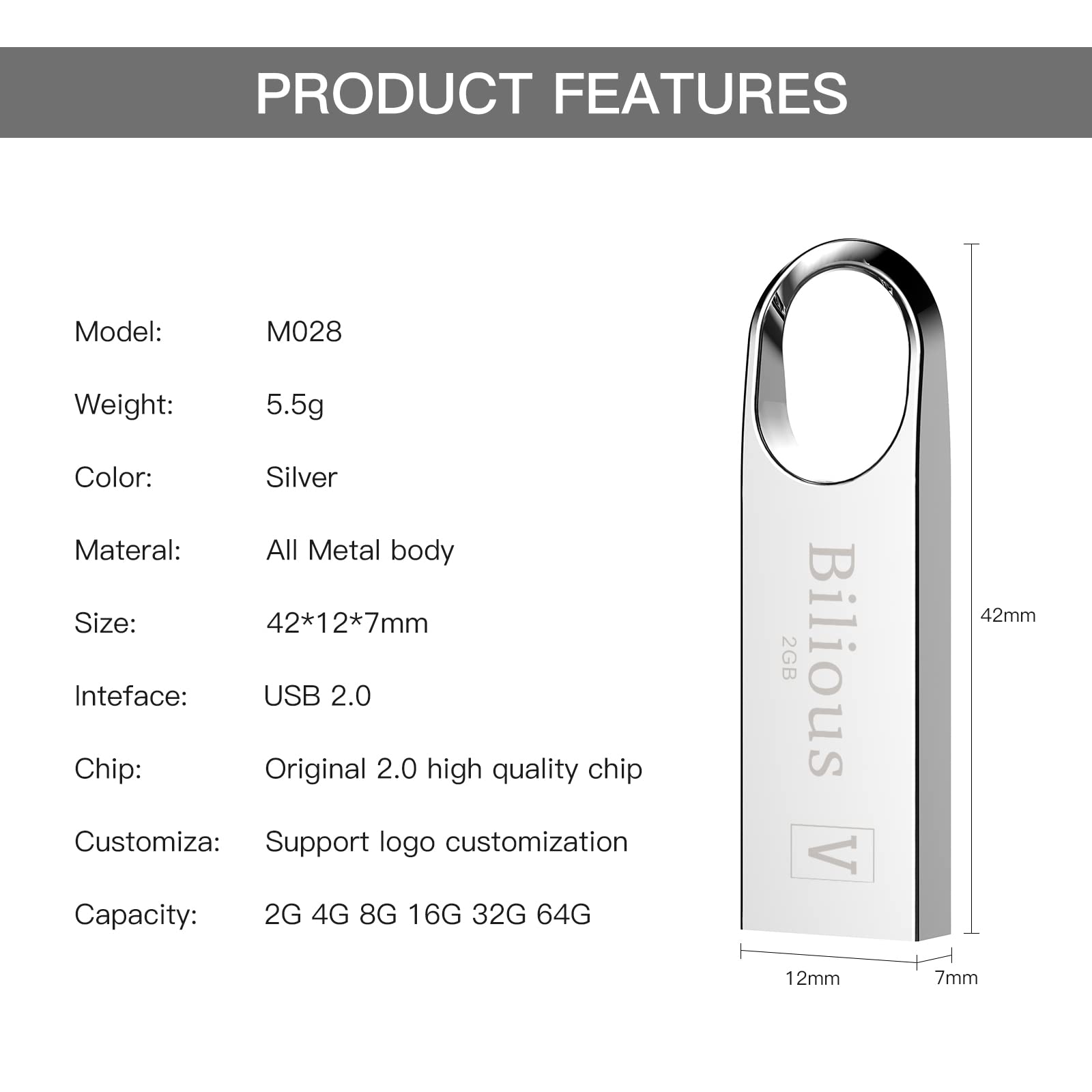 USB Flash Drive, Bilious Portable Keychain Design Thumb Drives Bulk 10 Pack, Metal Style Memory Stick U Disk, Waterproof Jump Pen Drive for Storage and Backup (16GB, 10 Pack)