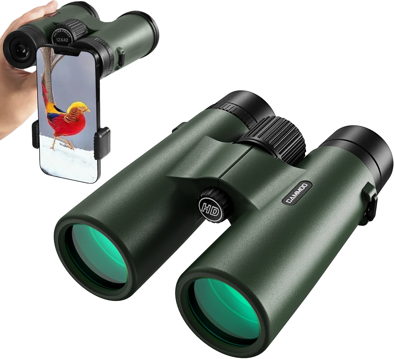 Golf Hunting Rangefinder + 12x42 HD Binoculars Green