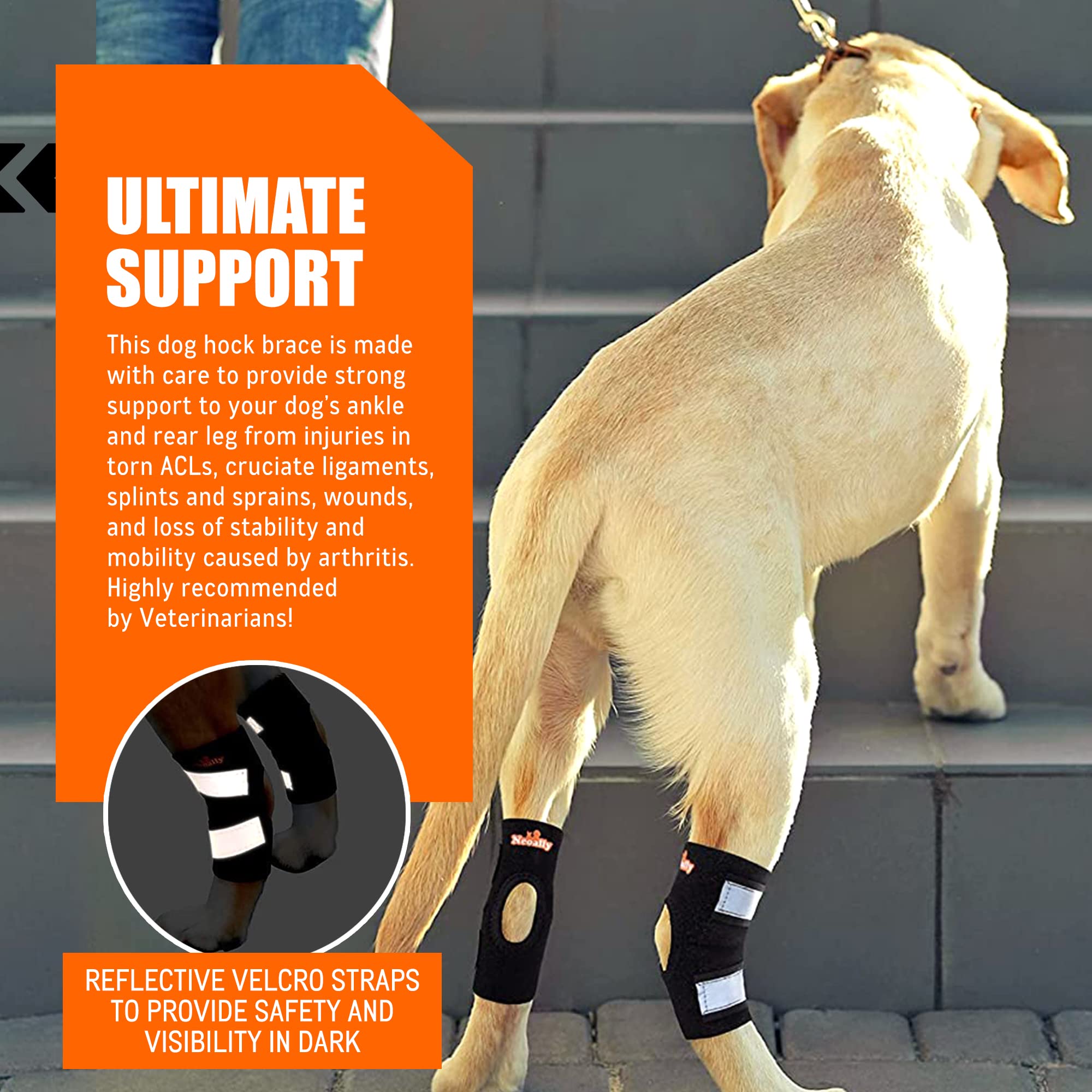 NeoAlly - Short Rear Leg Hock Brace, Dog Leg Brace for Rear Leg, Hock & Ankle Support, Dog Brace for Torn ACL & CCL, Dog Leg Sleeve with Reflective Straps, Small, Black, 1 Pair