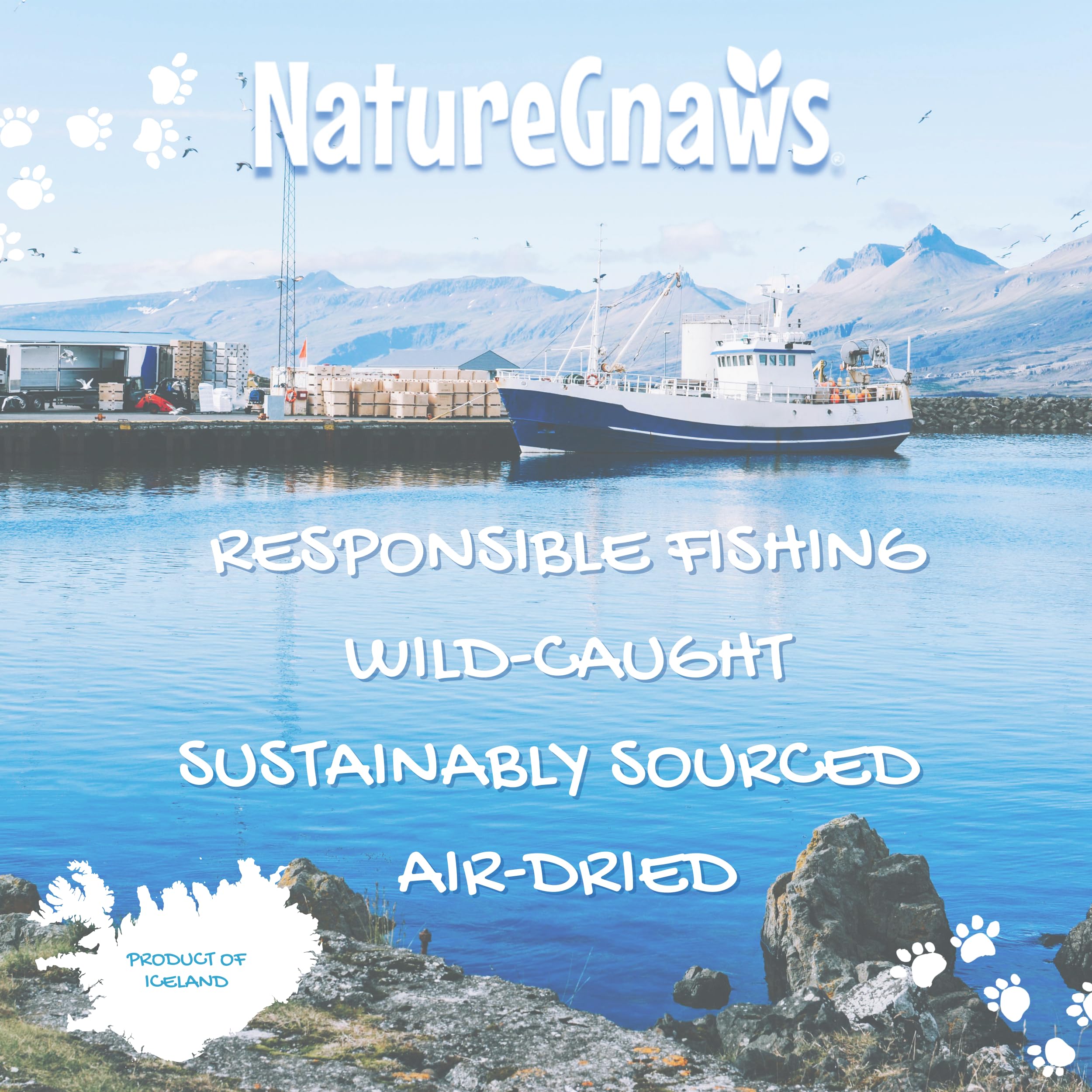 Nature Gnaws Fish Bites for Dogs - Natural Dog Treats β Premium Cod & Salmon Chewy Training Reward β 1 Lb
