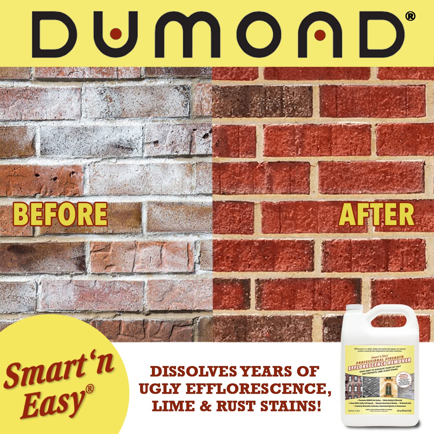 Smart 'n Easy Efflorescence Remover - Heavy Duty Professional Strength Formula - Removes The Toughest Salt, Calcium, and Magnesium Deposits from Concrete, Brick, Stucco, Pavers, & More - 1 Gallon