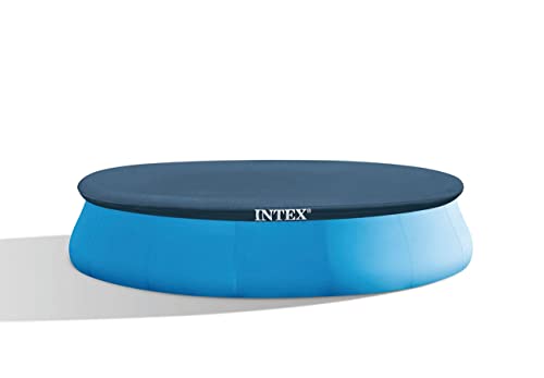 Intex 26175EH Easy Set 18 Feet by 48 Inch Round Inflatable Outdoor Backyard Above Ground Swimming Pool Set with Cover, Ladder, and Filter, Blue