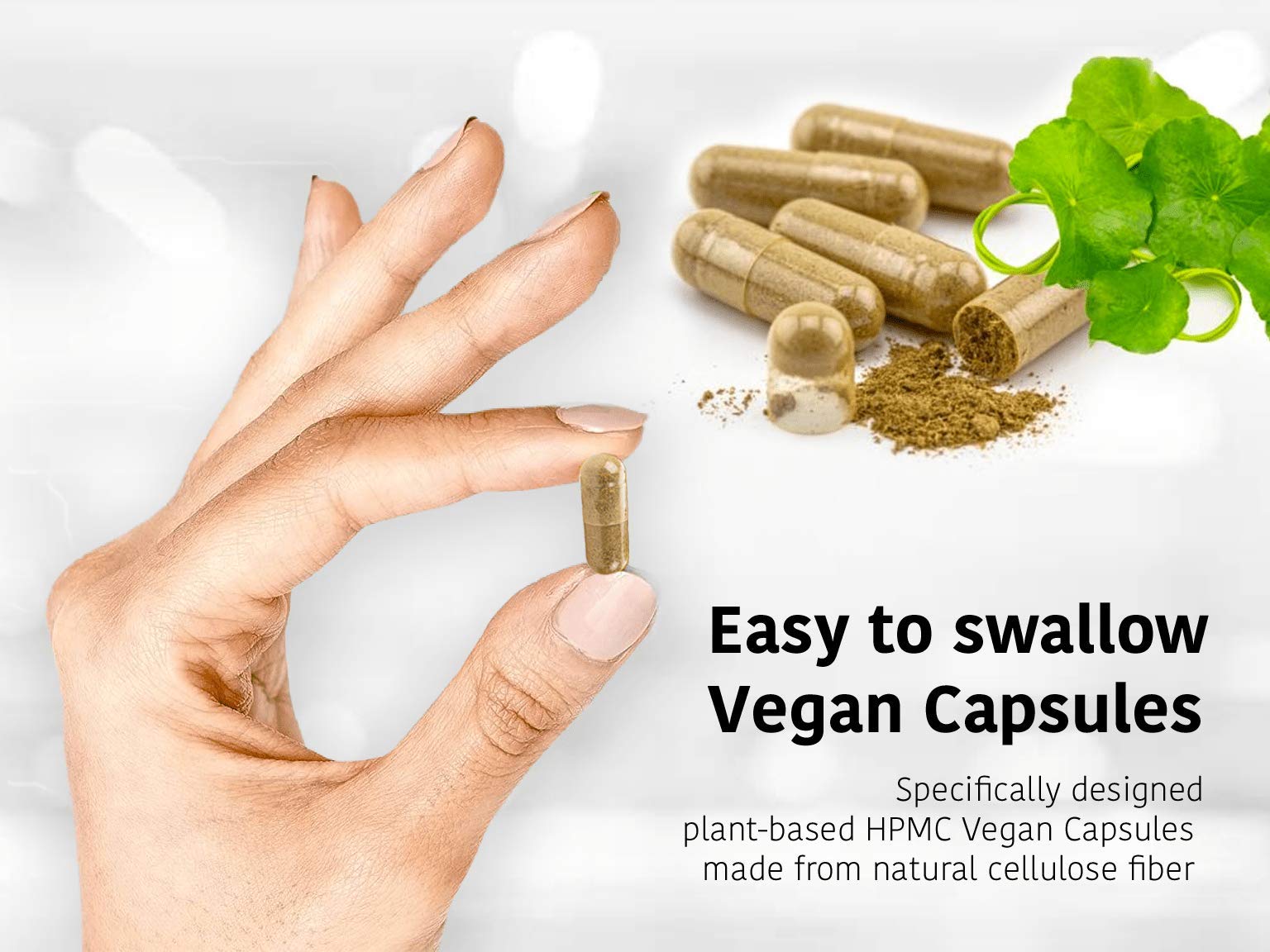 DR WAKDE'S Guduchi Capsules (Tinospora cordifolia, 60 Veg Caps, Plant-Based Supplement, Ayurvedic Herb, All Natural, Vegan)