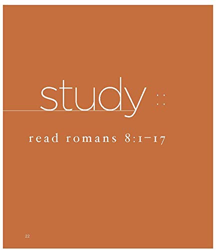 Stuck Bible Study Guide: The Places We Get Stuck and the God Who Sets Us Free