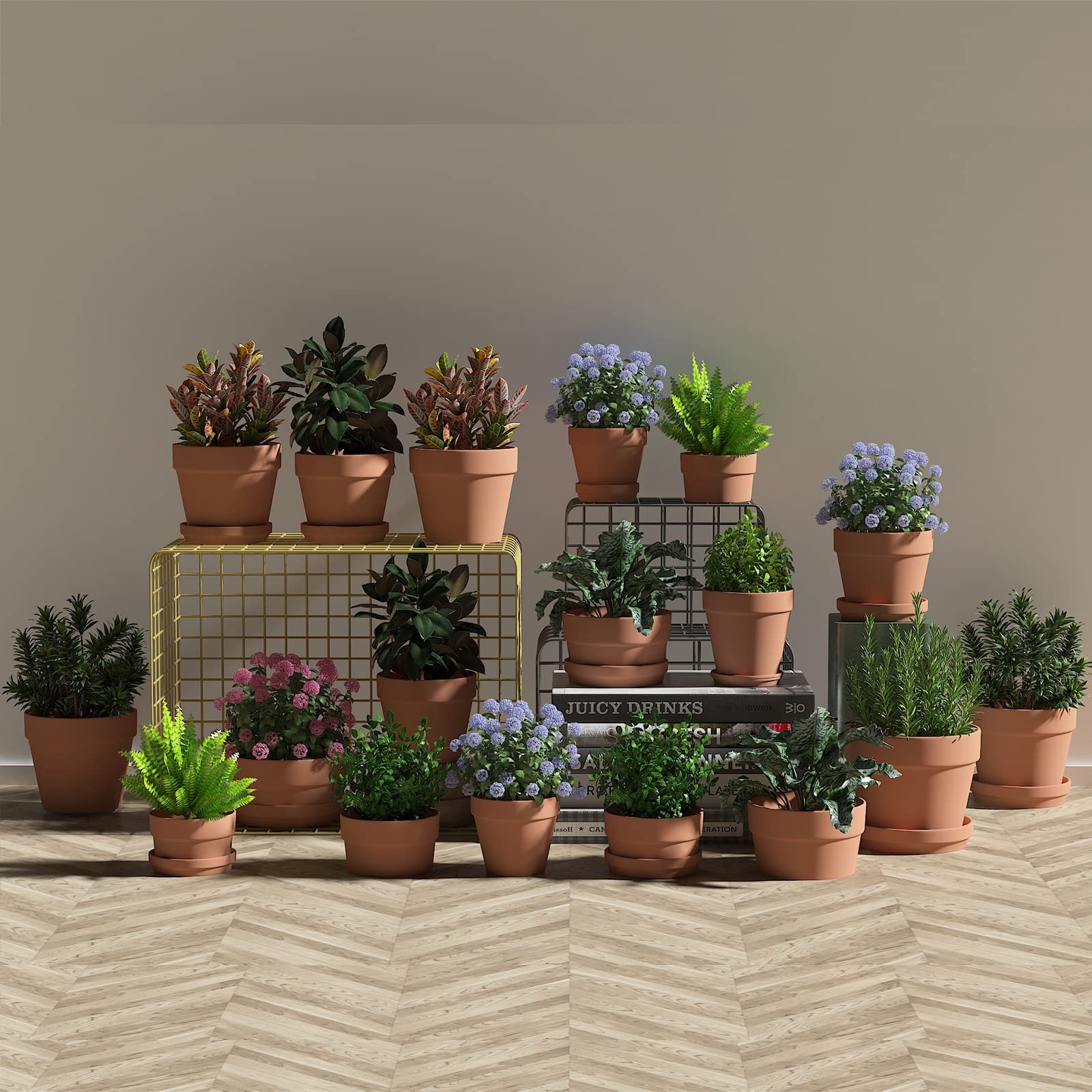 Fcacti 5 Inch Terracotta Shallow Succulent Pot - 8 Pack Medium Terra Cotta Clay Pots with Drainage Hole, Round Shallow Terra-Cotta Bonsai Pot for Indoor/Outdoor Plants