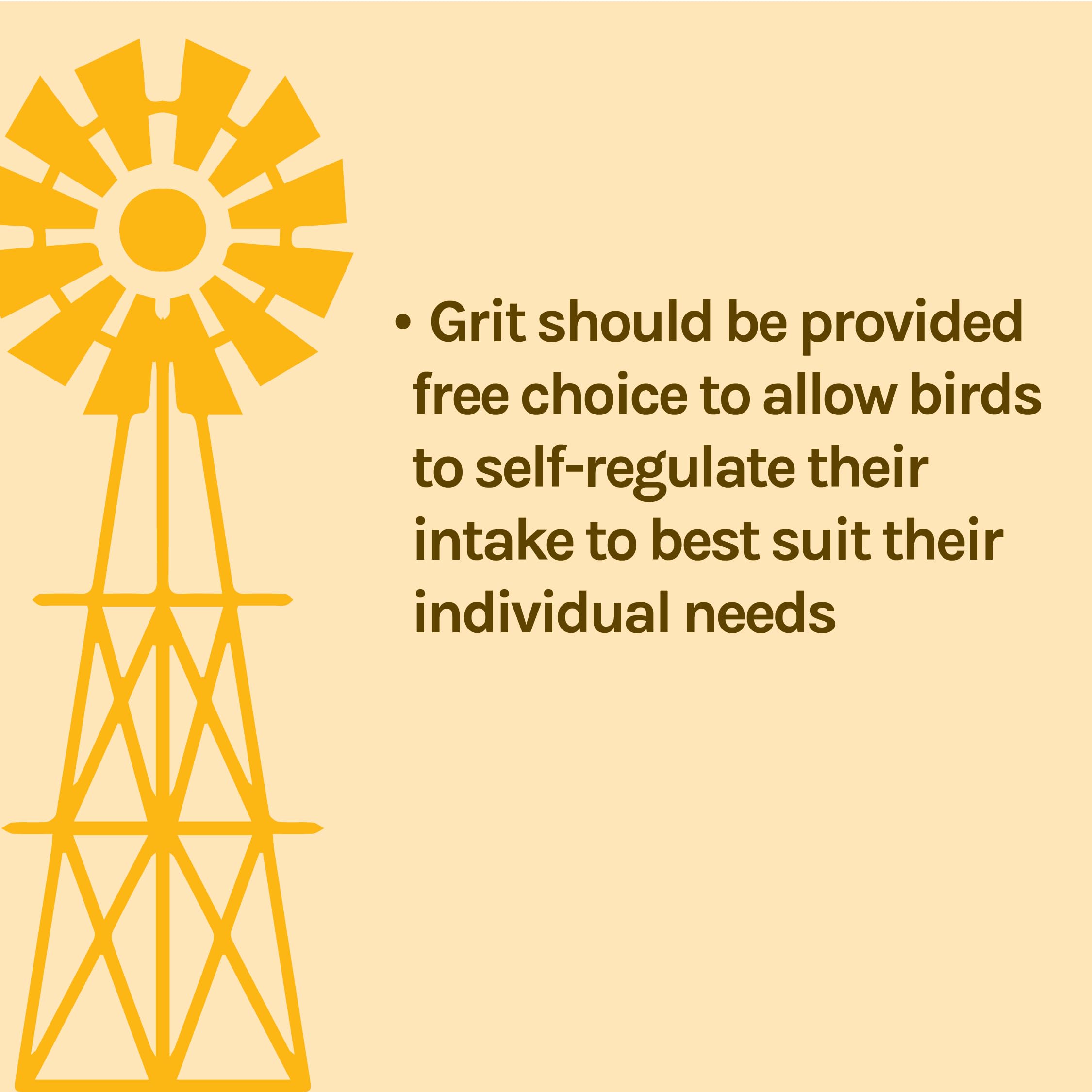New Country Organics | Flock Perfect Starter Grit for Chicks to Help aid in Digestion | 8 lbs
