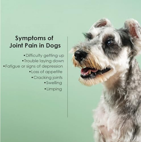 Pet Health Solutions Hylox Soft Chews for Dogs - Supports Joints & Cushions Connective Tissues - Glucosamine - Alpha Linolenic Acid - Creatine -120 Soft Chews