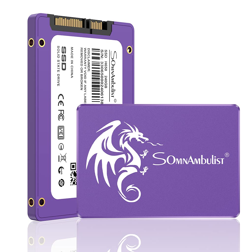 Somnambulist Internal Hard Drive SSD 60GB 120GB 240GB 960GB 2TB SATA3 2.5 inch SSD 480GB SSD (Purple Dragon 240GB)
