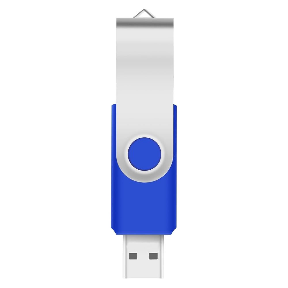 EASTBULL 2GB Flash Drive 100 Bulk USB 2.0 Fast Speed Flash Drives Pack Swivel USB Drives Pack (Blue)