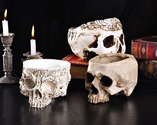 IBWell Modern 6 inch Large Funny Resin Skull Shaped Head Design Flower Pot Planter Container, Decoration Flowerpot Props Home Office Desk Decor