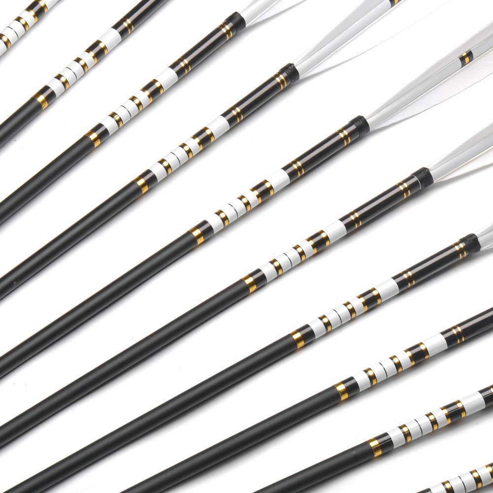 EROCK Archery Arrows 30inch Pure Carbon Arrows 500 Spine Turkey Feather Fletching Screw-in Field Points Targeting Arrows for Recurve Bow Compound Bow 12 Pack