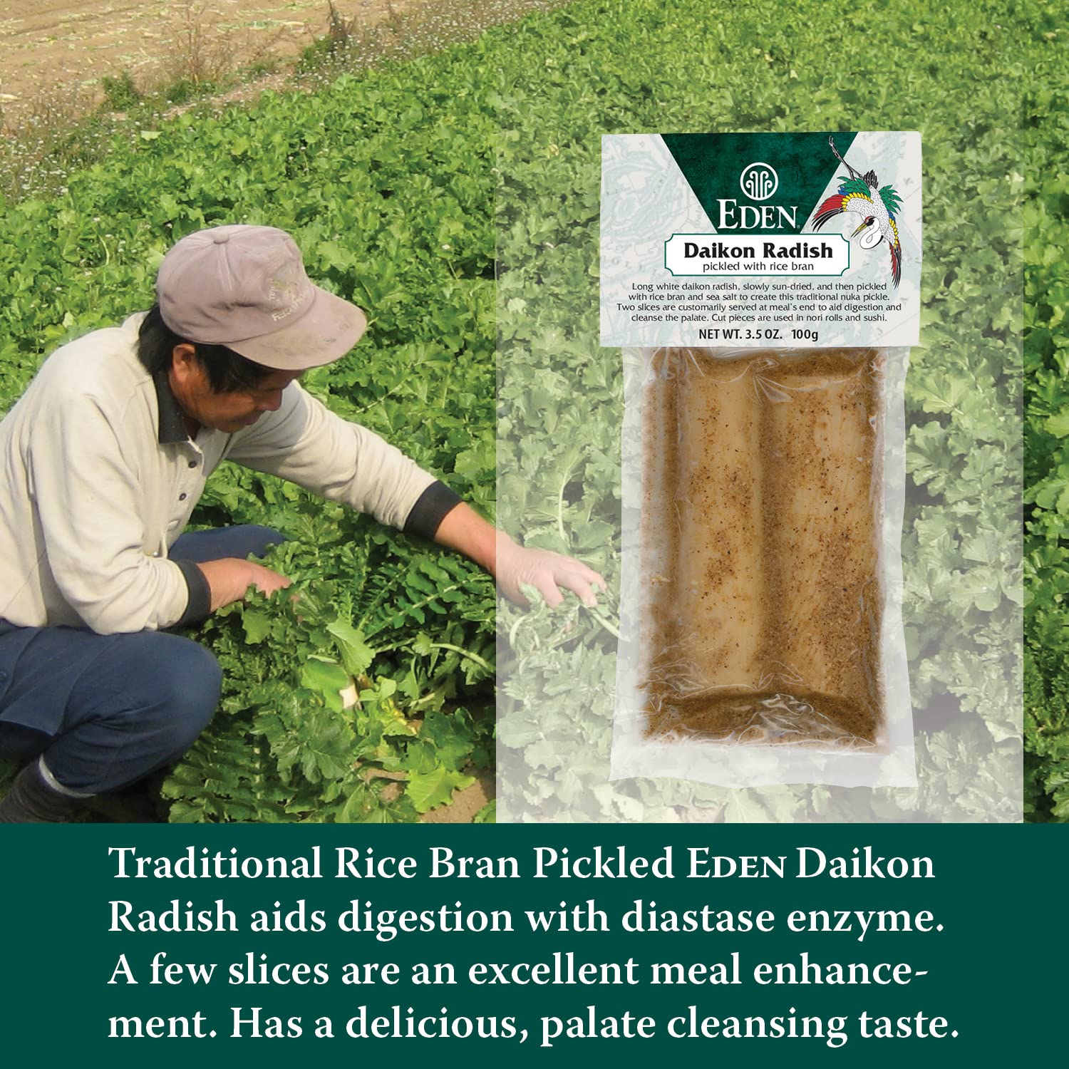 Eden Pickled Daikon Radish, Takuan-Zuke, Rice Bran and Salt Pickled, Nuka-Zuke, Traditionally Made in Japan, No-MSG, All Natural Ingredients, 3.5 oz
